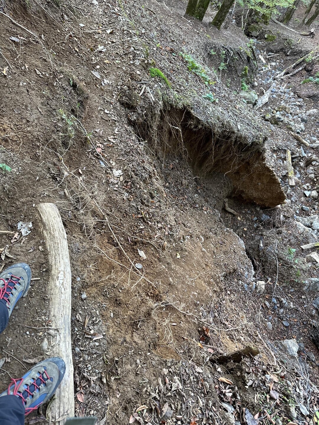 OkAさんの投稿したフィールドメモ | YAMAP / ヤマップ