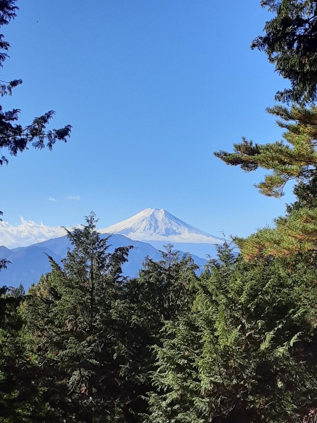 九鬼山「秀麗富嶽十二景🗻十番」🍑伝説とリニア🚄 / spesさんの倉岳山・高畑山・九鬼山の活動データ | YAMAP / ヤマップ