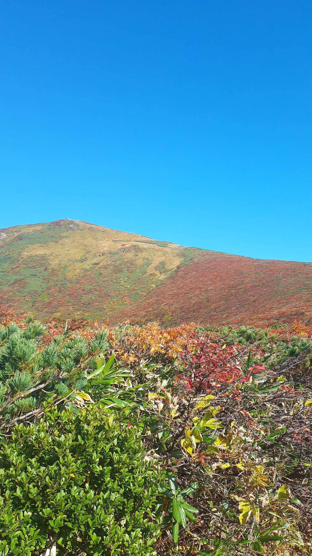 栗駒山🌰🍁-2021-09-23 / manaさんのウォーキングの活動データ | YAMAP / ヤマップ