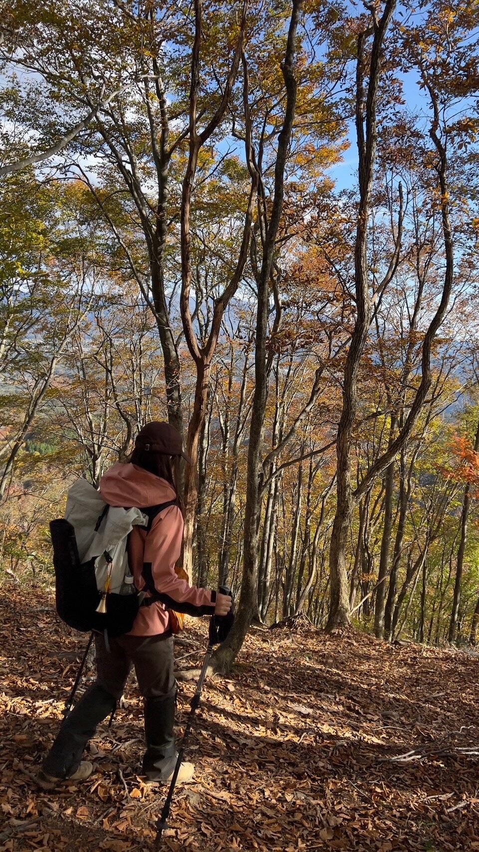 大日ヶ岳 / 💫shino💫さんの大日ヶ岳・毘沙門岳の活動データ | YAMAP / ヤマップ