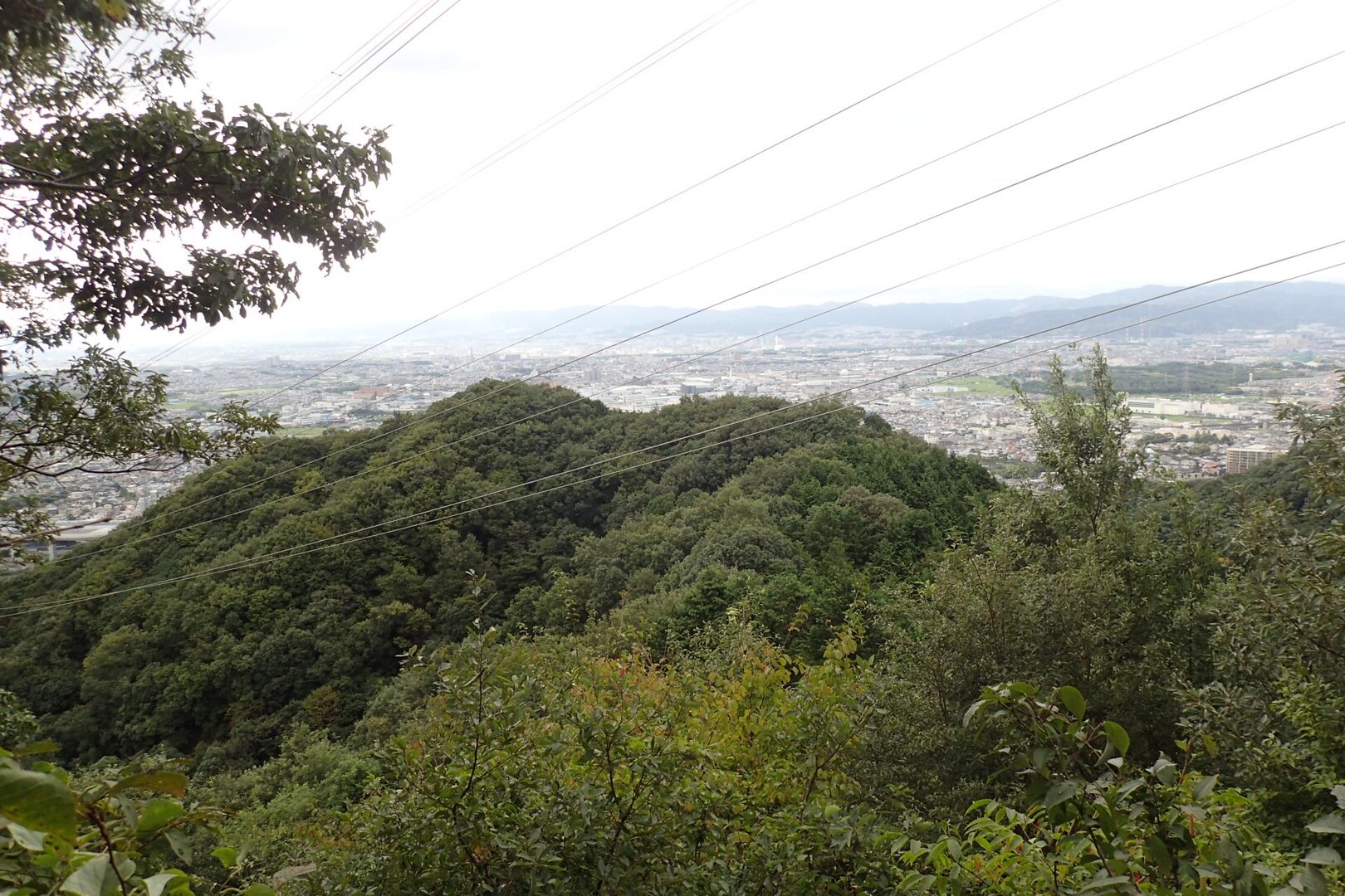 倉治山 / Thomasさんの交野山・国見山の活動データ | YAMAP / ヤマップ