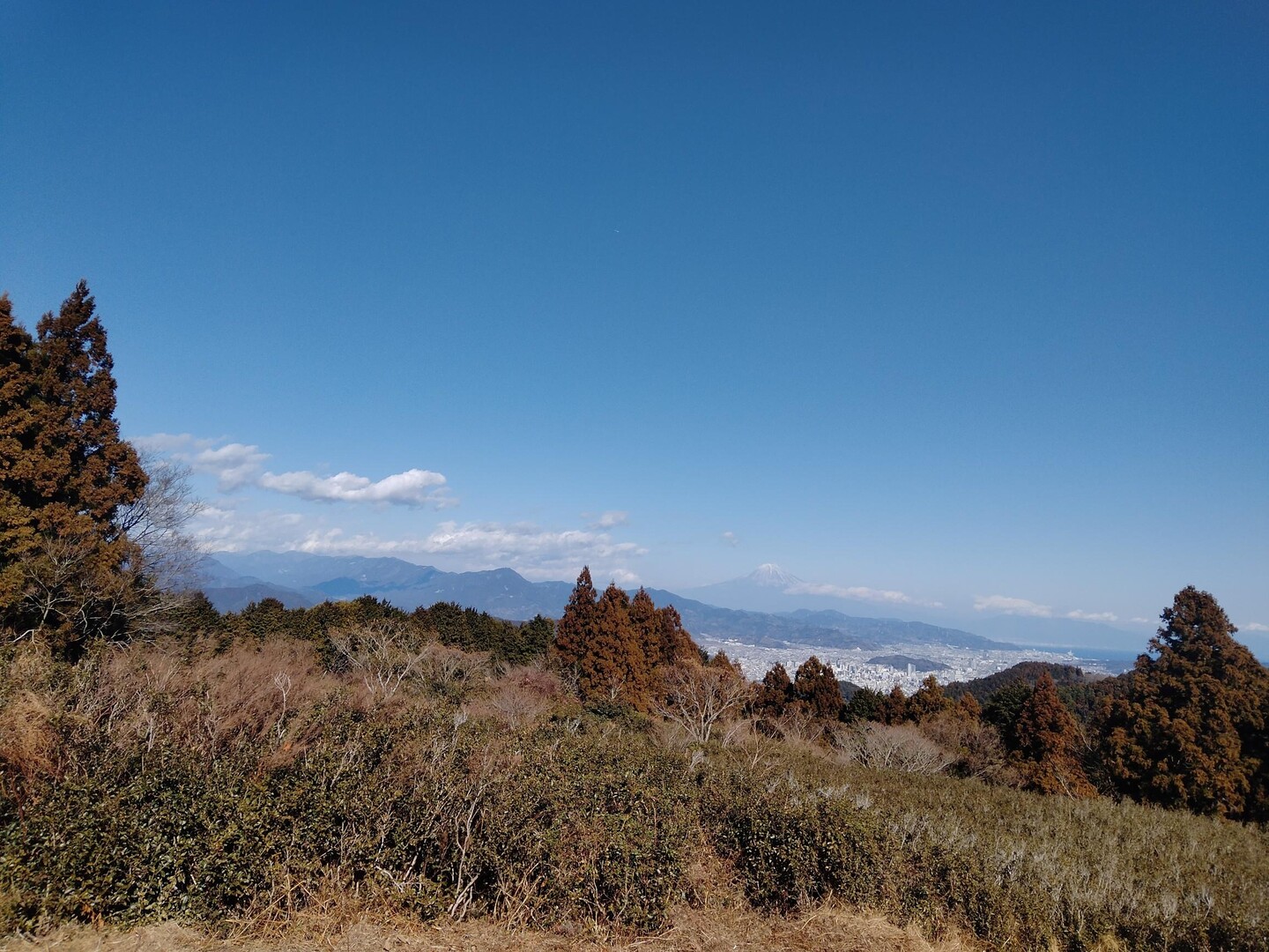 高草山(東峰)・高草山（西峰）・大ベラ山・満観峰・花沢山 / ETRO さんの焼津アルプス（高草山・満観峰・花沢山）・徳願寺山の活動データ ...