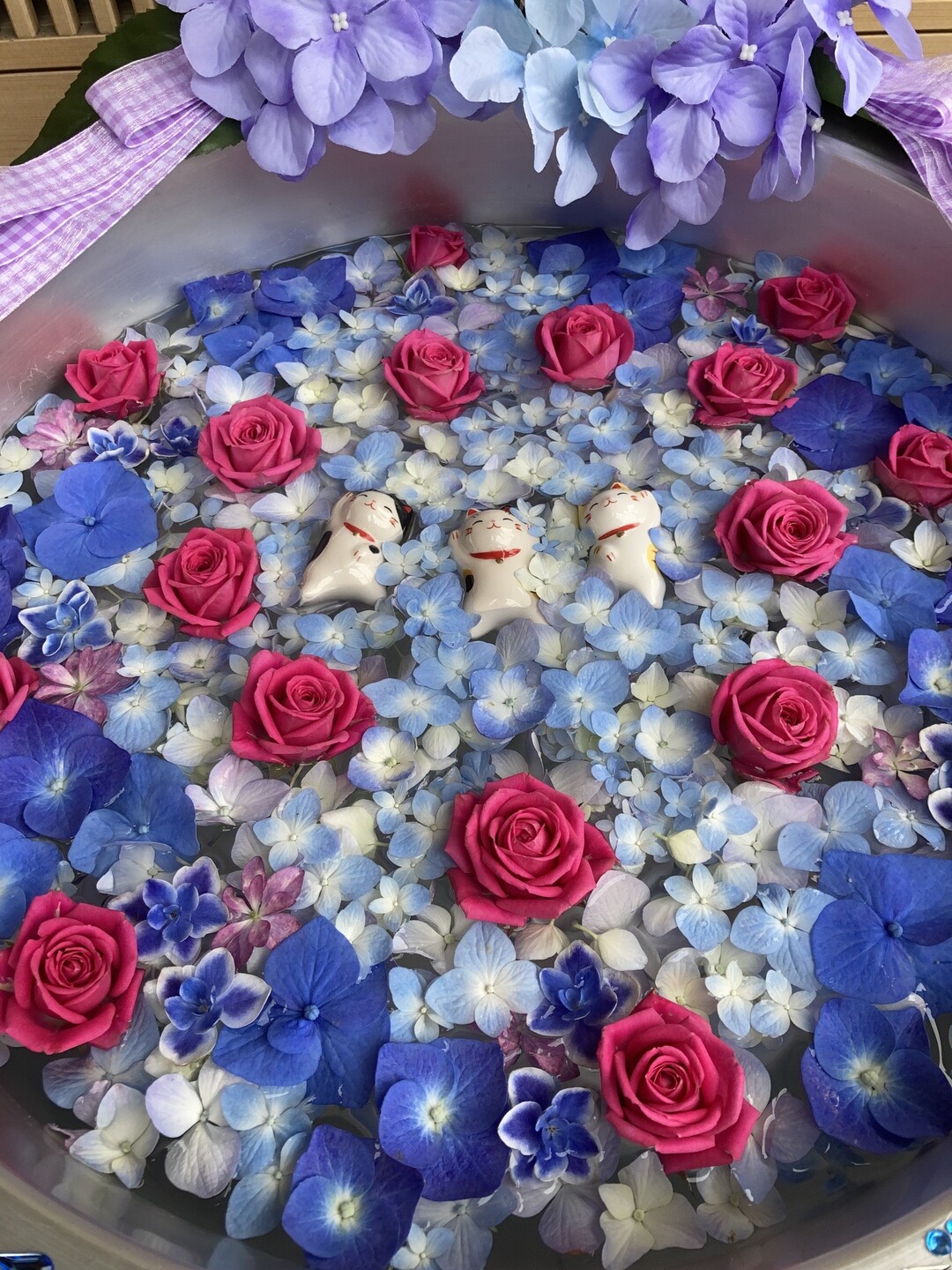 近所の神社 毎週のように変わります / なかしん🌙さんのモーメント | YAMAP / ヤマップ