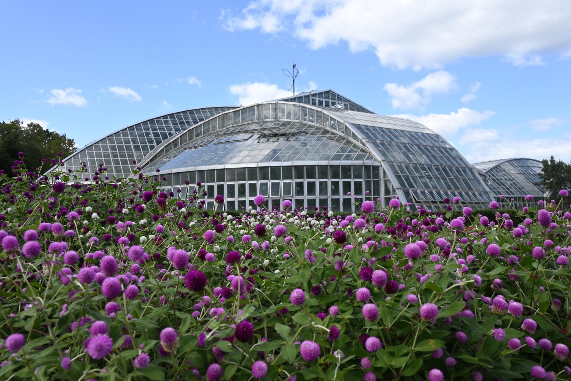 はじめまして京都府立植物園 / Naope!さんのウォーキングの活動データ | YAMAP / ヤマップ