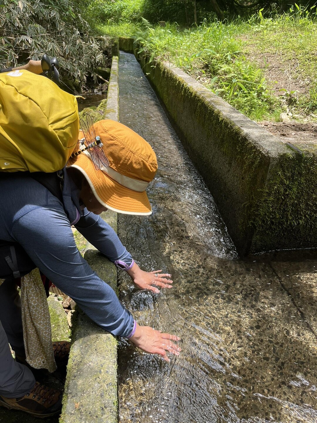 蛤水道気持ちいい〜！ / hiyoさんの脊振山・金山の活動データ | YAMAP / ヤマップ
