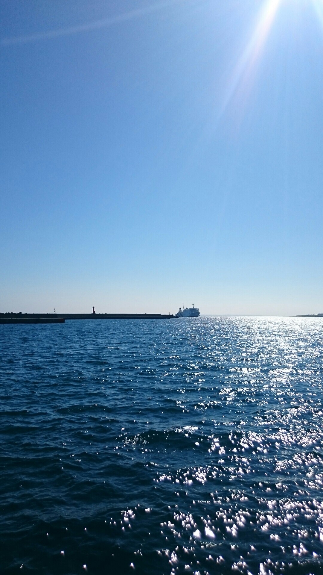 利尻島に来たよー！ Day 3 島風と過ごした夢のような時間 / Ryoさんの利尻山（利尻富士）の活動日記 | YAMAP / ヤマップ