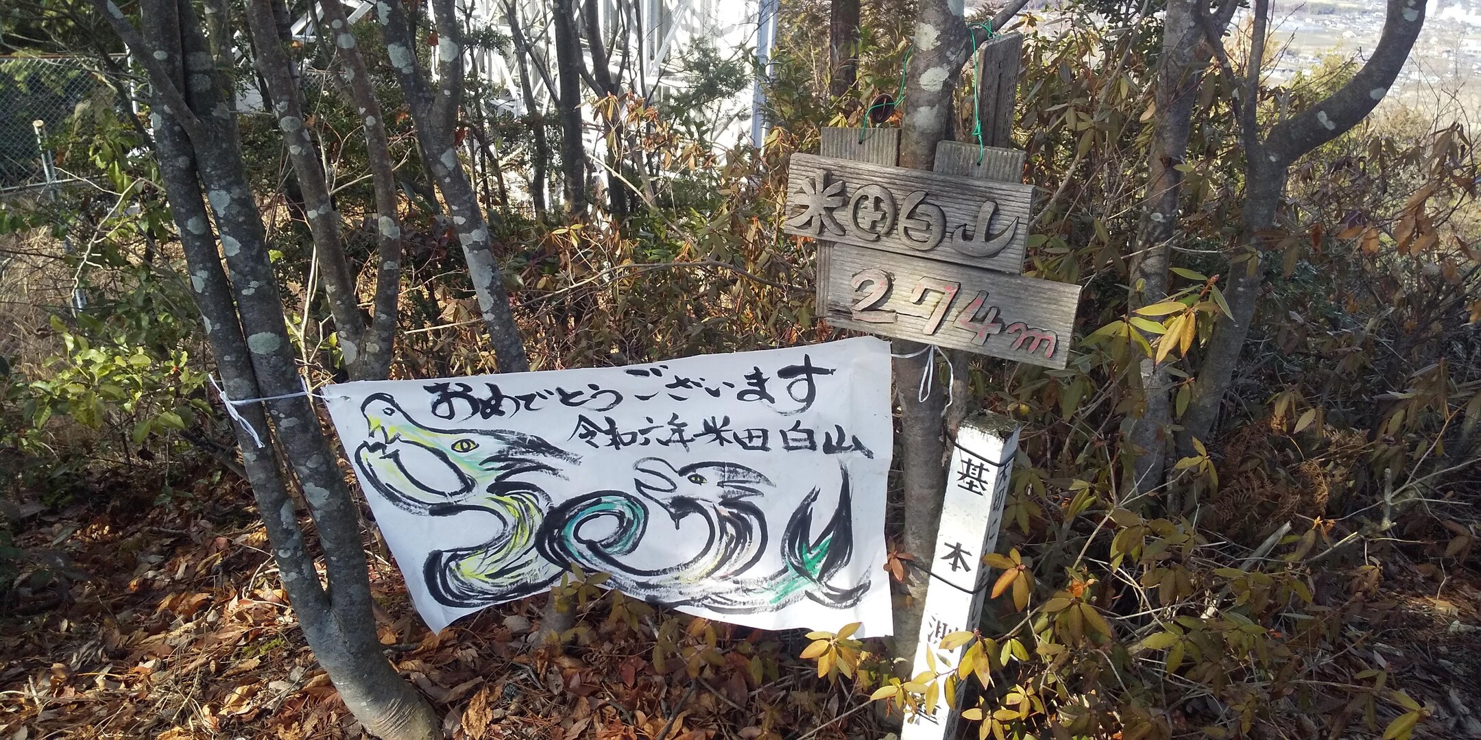 米田白山 川辺7+1 / mokoさんの米田白山の活動データ | YAMAP / ヤマップ