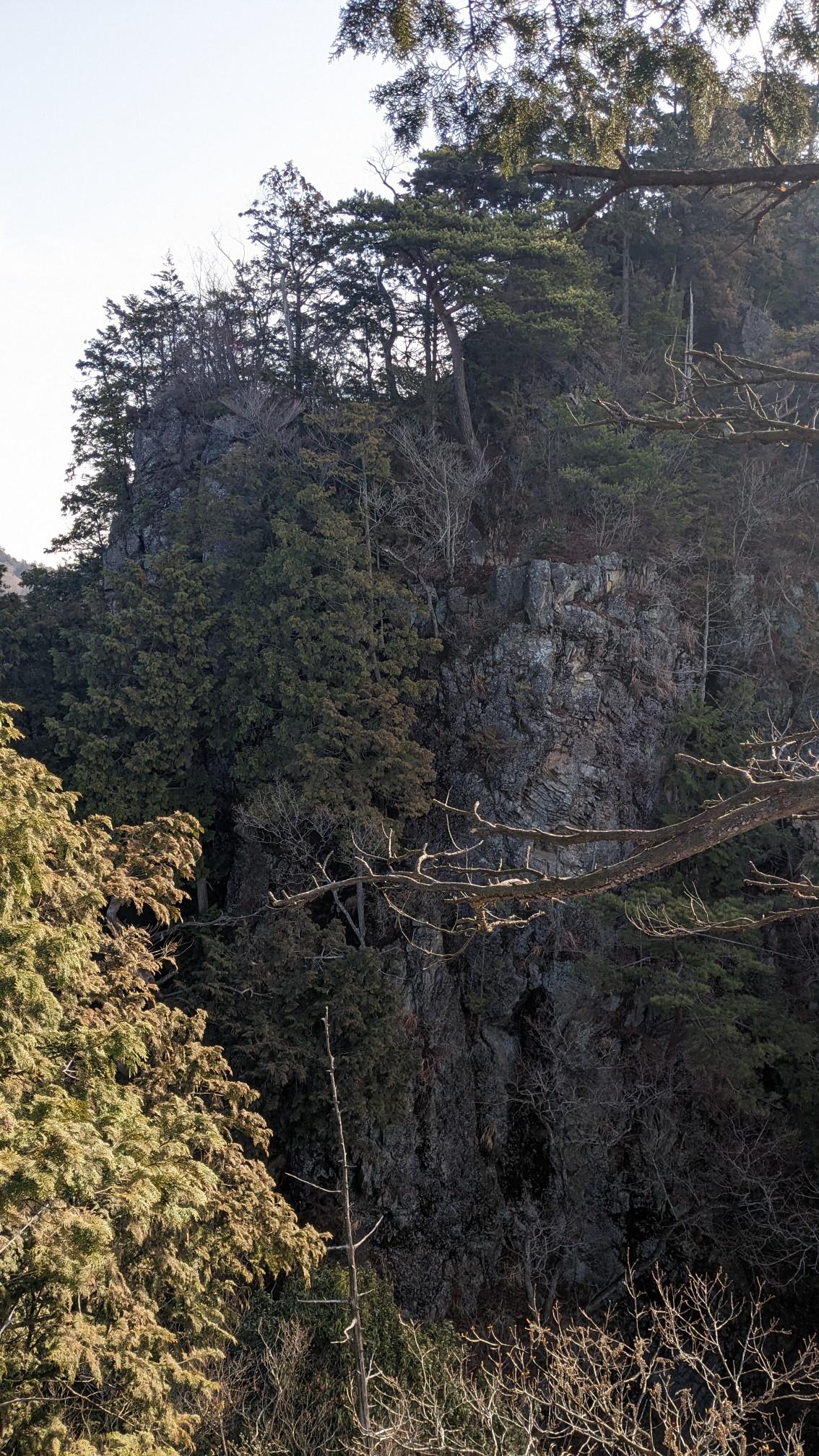 大谷セブンサミッター！ / kkr173さんの古賀志山・赤岩山・鞍掛山・男抱山・半蔵山の活動データ | YAMAP / ヤマップ