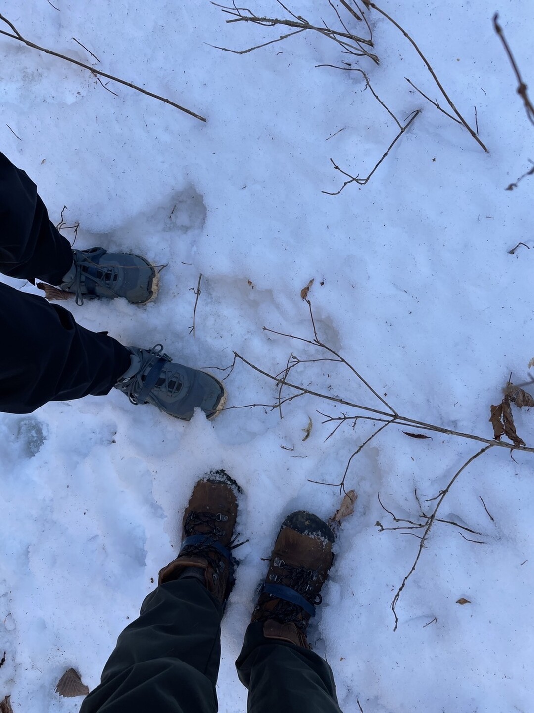御岳山 / smさんの大岳山・御岳山・御前山の活動データ | YAMAP / ヤマップ