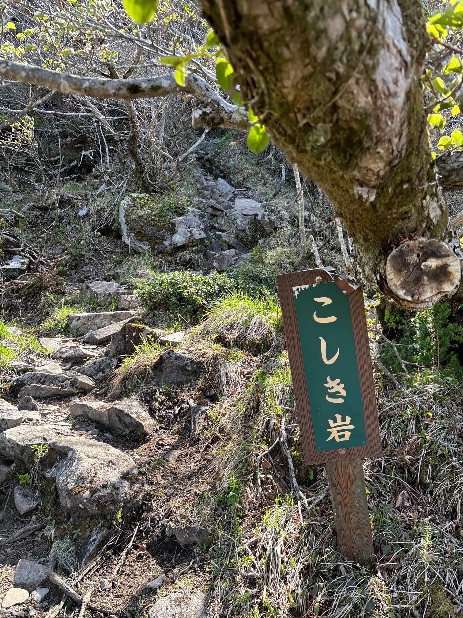 私は山派バイクもYAMAHAさんの投稿したフィールドメモ | YAMAP / ヤマップ