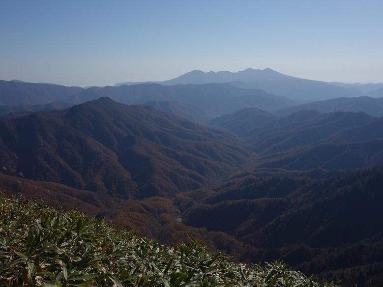 八総鉱山跡～荒海山 / we_ma2さんの荒海山・芝草山の活動データ | YAMAP / ヤマップ