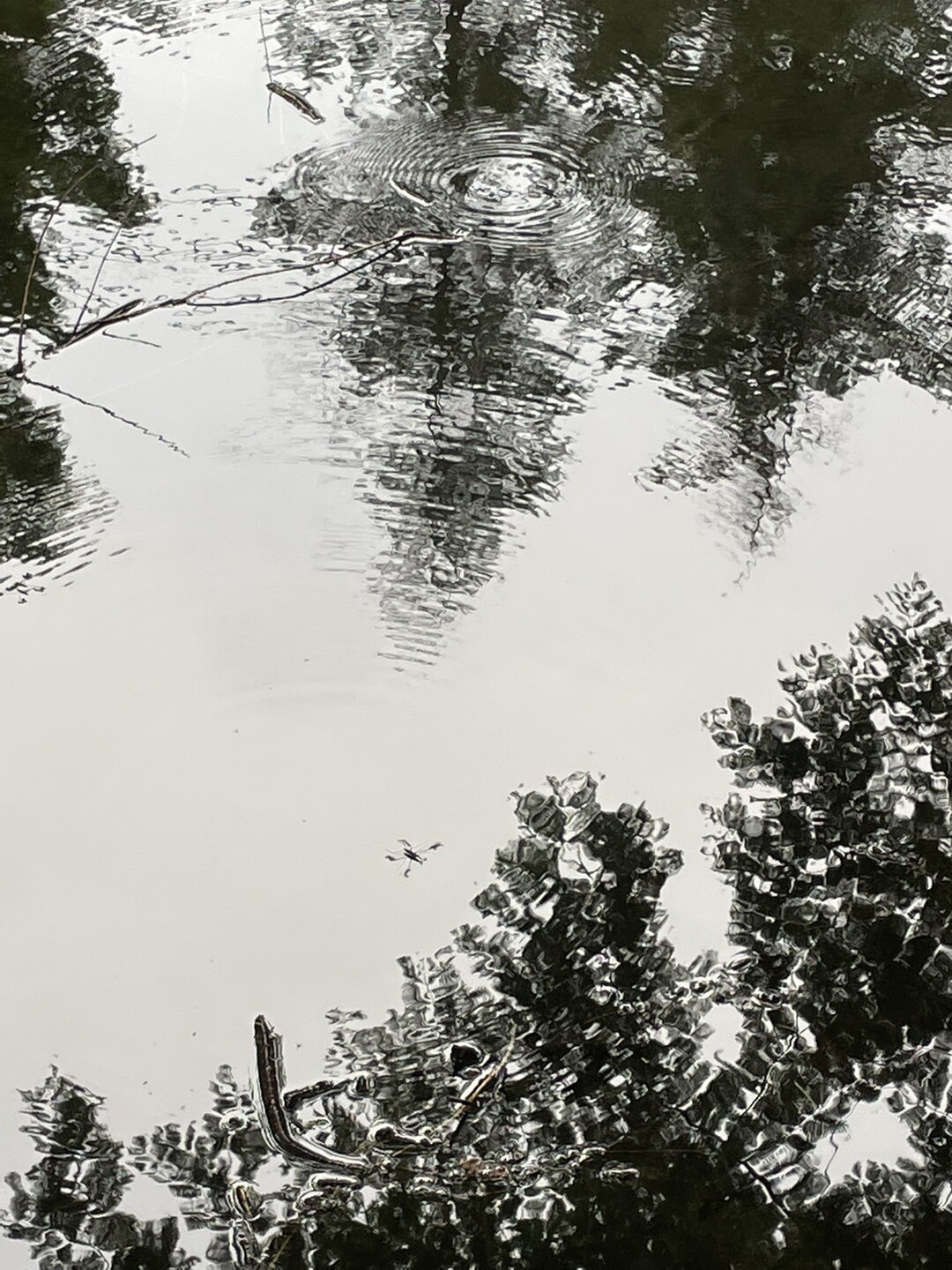 東根さくらんぼマラソン🍒 day2 空... / yukodamaさんのモーメント | YAMAP / ヤマップ