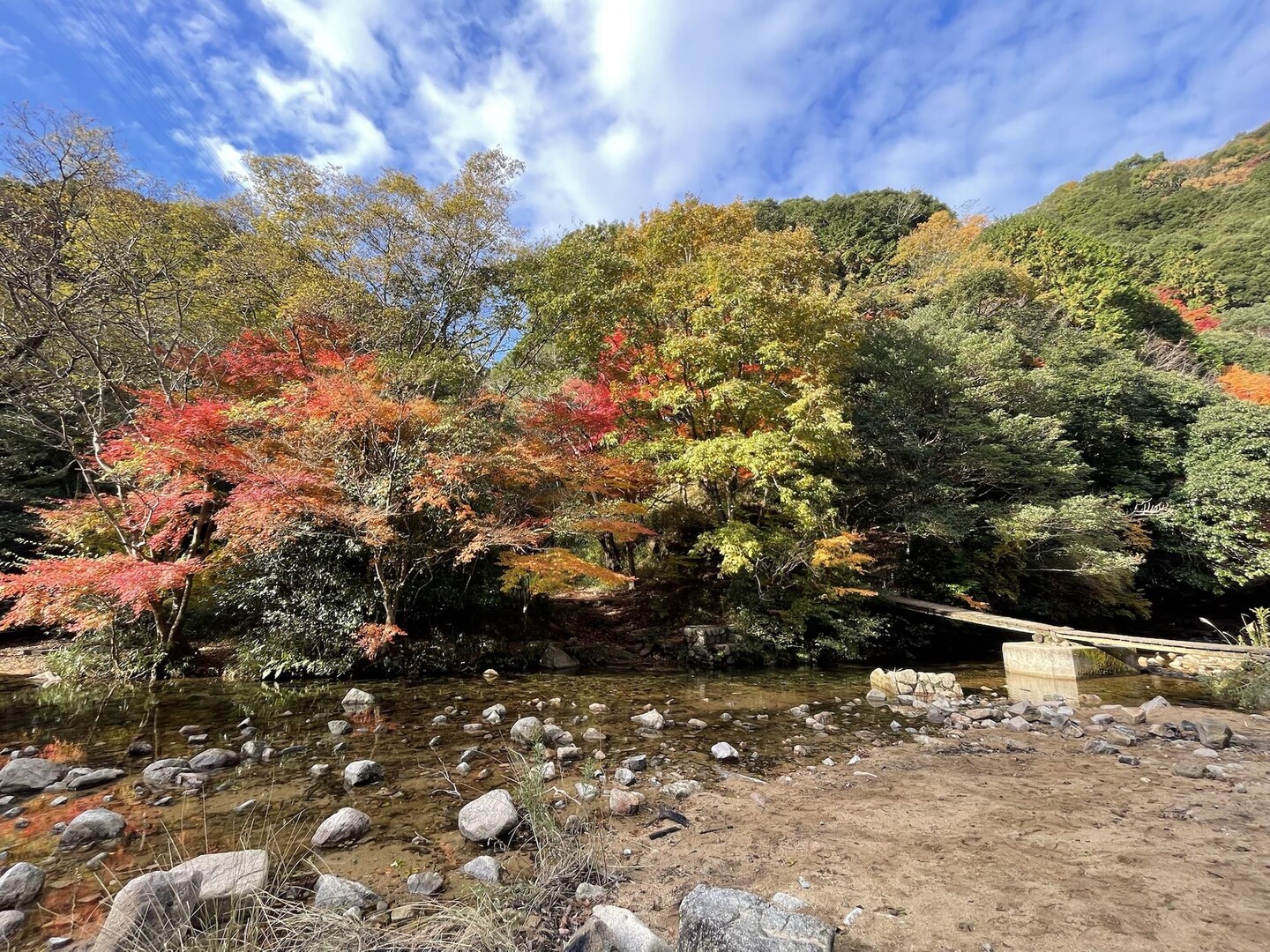 もみじ狩りハイキング🥾-2024-11-30 / まことさんの六甲山・長峰山・摩耶山の活動データ | YAMAP / ヤマップ