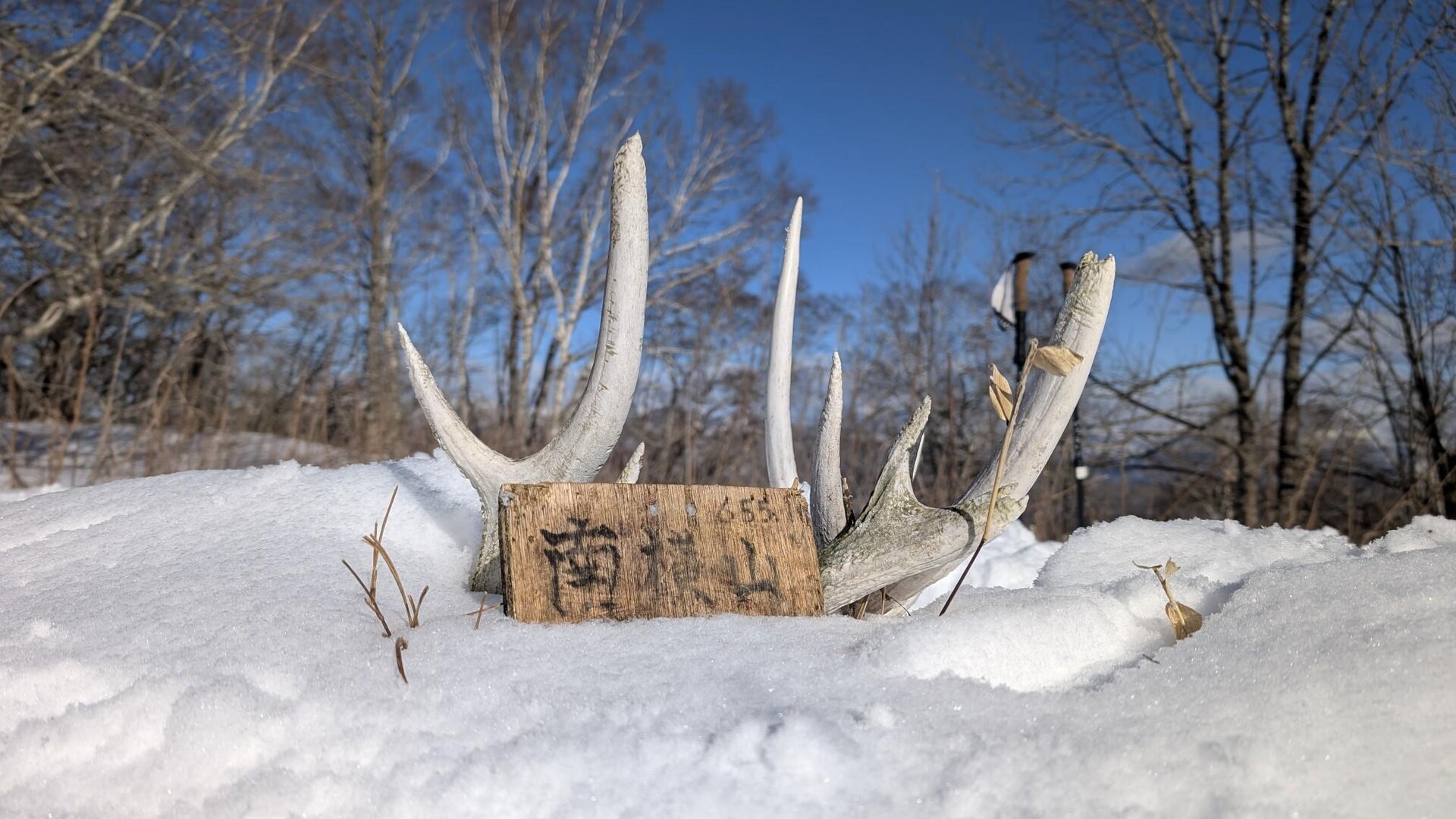 横山中岳・南横山・北横山 / agaさんの横山中岳の活動データ | YAMAP / ヤマップ