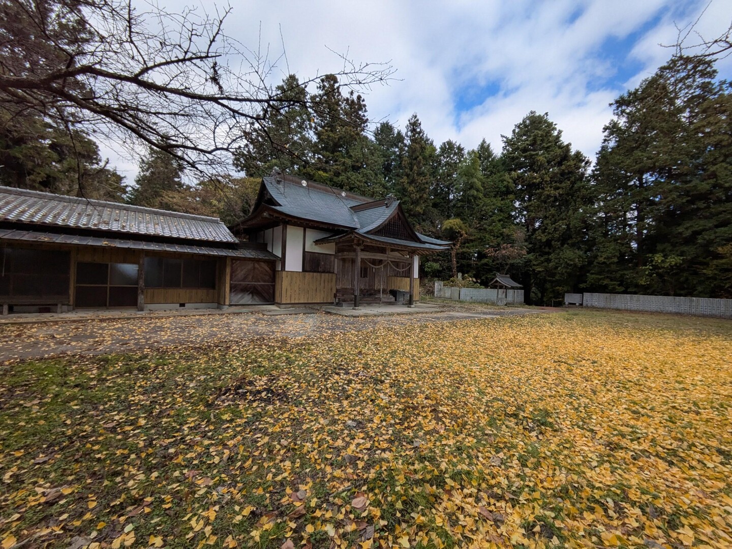 三頭山の黄金 / BIK局長さんの竜王山（讃岐山脈）・大川山の活動日記 | YAMAP / ヤマップ