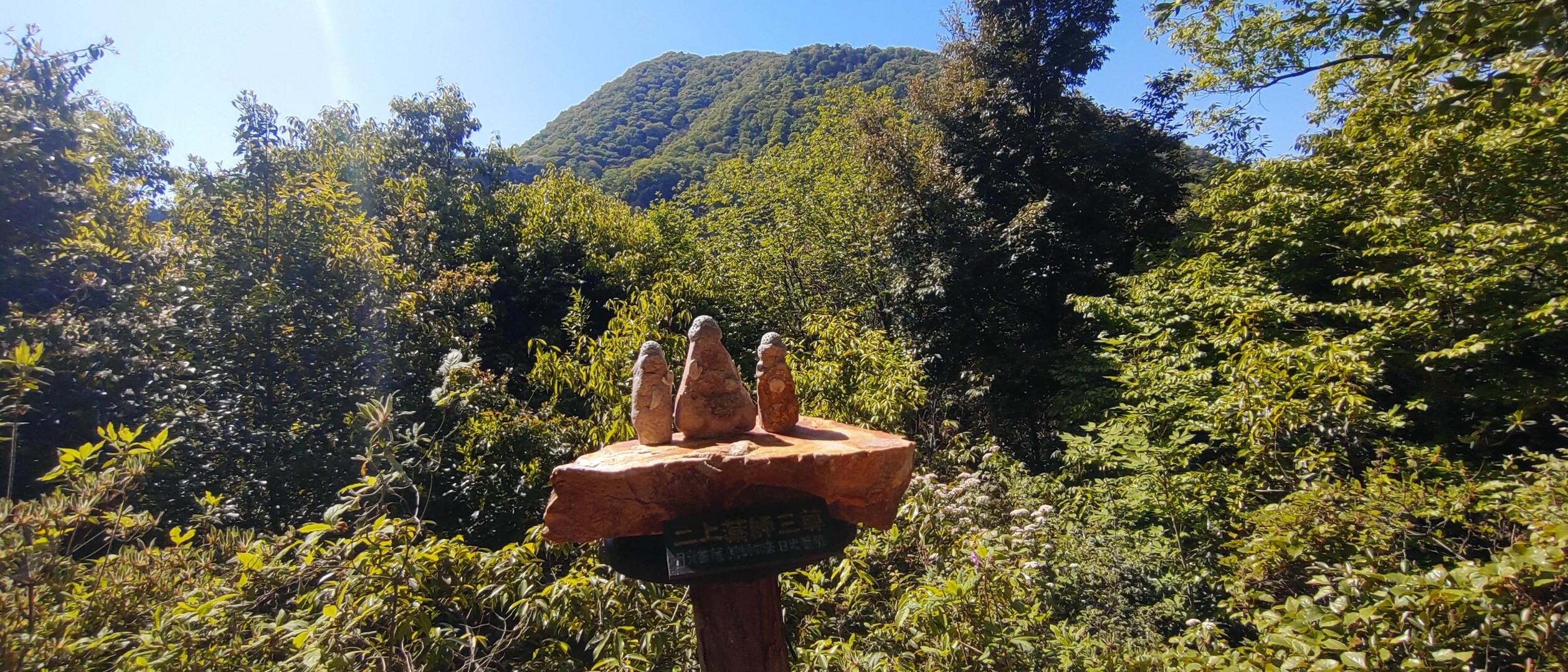 二上山 / yshrtrdさんの金剛山・二上山・大和葛城山の活動データ | YAMAP / ヤマップ