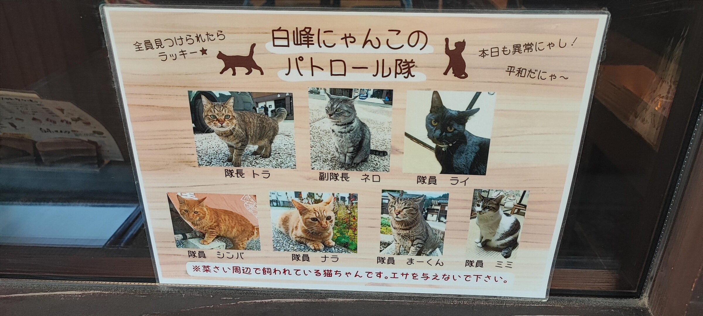 白峰にゃんこのパトロール隊 / yama-d-masaさんのウォーキングの活動日記 | YAMAP / ヤマップ