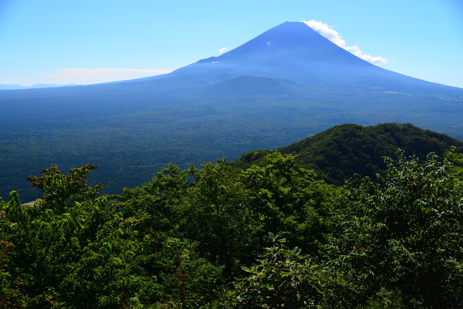 富嶽三十六景 ⑫ パノラマ台 Mtoyoshimaさんの三方分山・パノラマ台の活動データ Yamap ヤマップ 