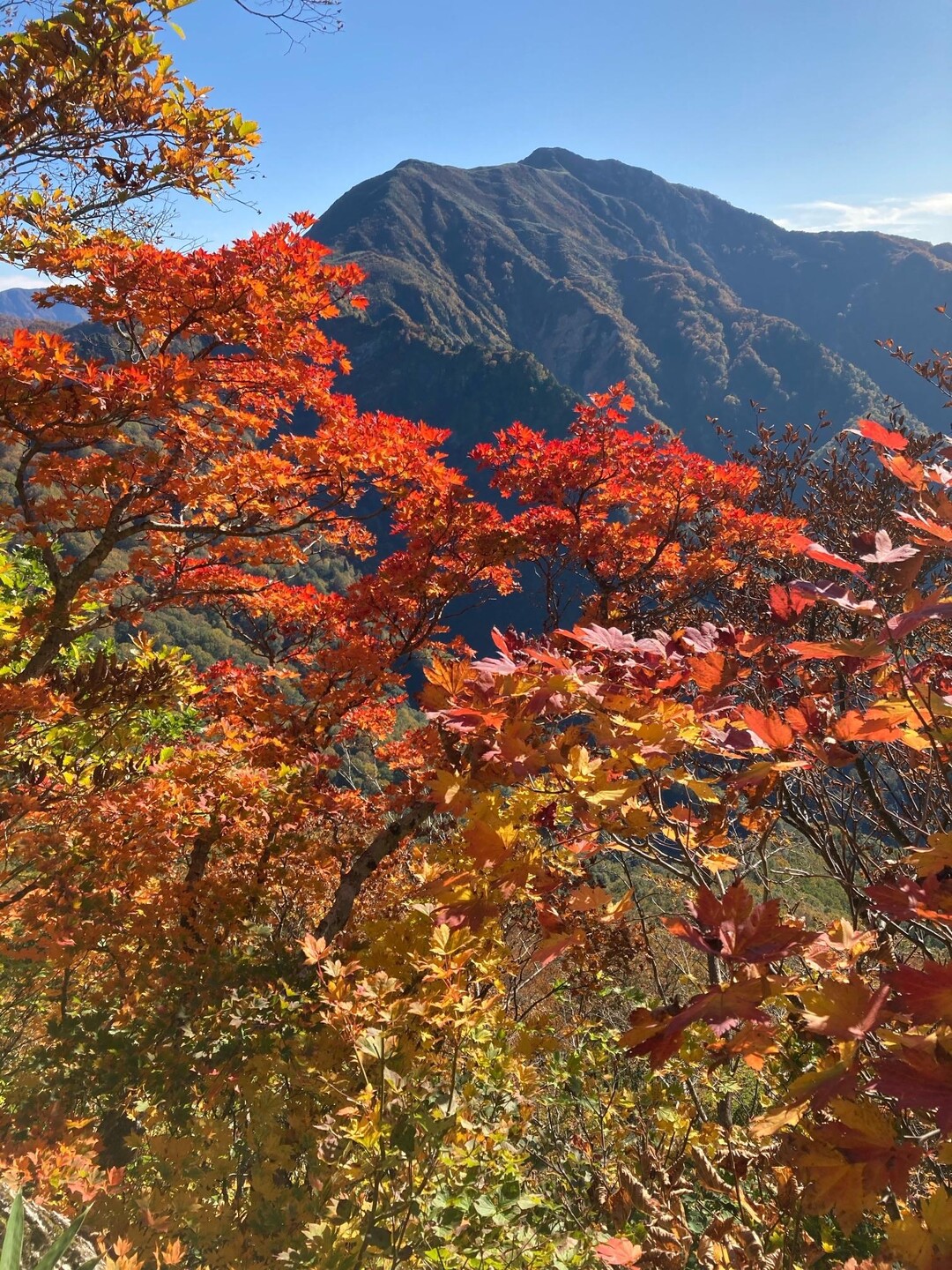 海谷山塊 ③鋸岳〜雨飾温泉 / AKさんの駒ヶ岳の活動データ | YAMAP / ヤマップ