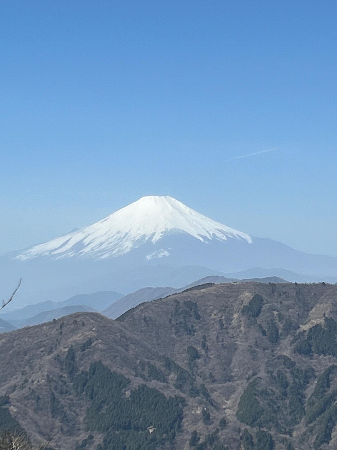 第5回 大山登山（with妻） / Eddieさんの大山の活動データ | YAMAP / ヤマップ