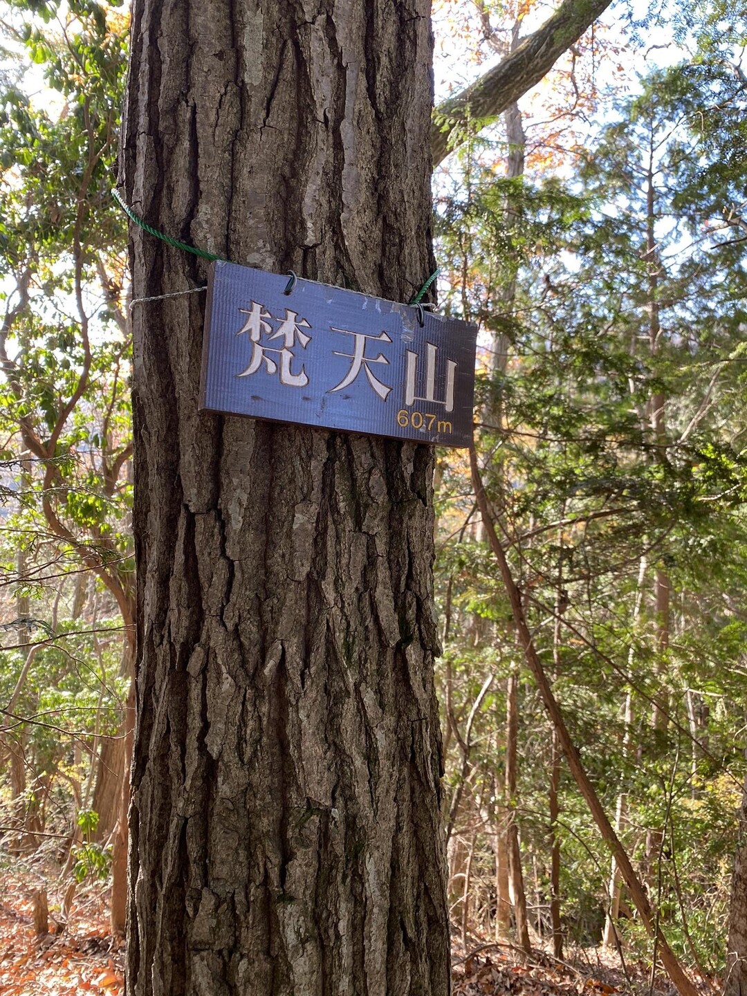 LANI HEAD TRAIL〜日の出山〜武蔵五日市 / 大岳山・御岳山・御前山の写真49枚目 | YAMAP / ヤマップ