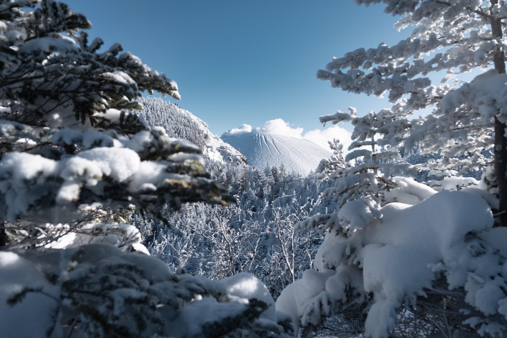 蛇骨岳 巳年登り始め / tana-fineさんの浅間山・黒斑山・篭ノ登山の活動データ | YAMAP / ヤマップ