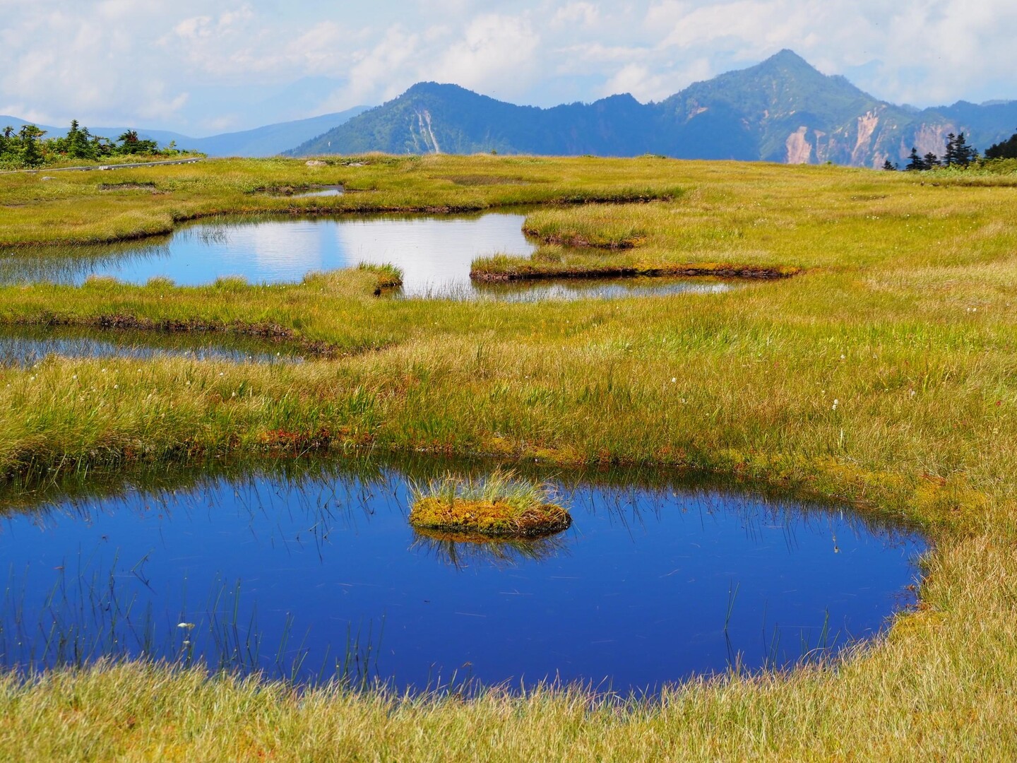 夏花と水の台地、苗場山 / 天ぷらケンジJyJyさんの苗場山・赤倉山・佐武流山の活動データ | YAMAP / ヤマップ