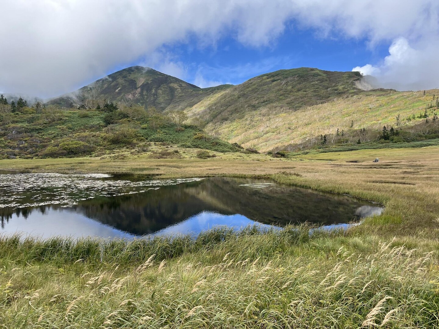 茶臼山・火打山 / bara-jiさんの妙高山・火打山の活動データ | YAMAP / ヤマップ