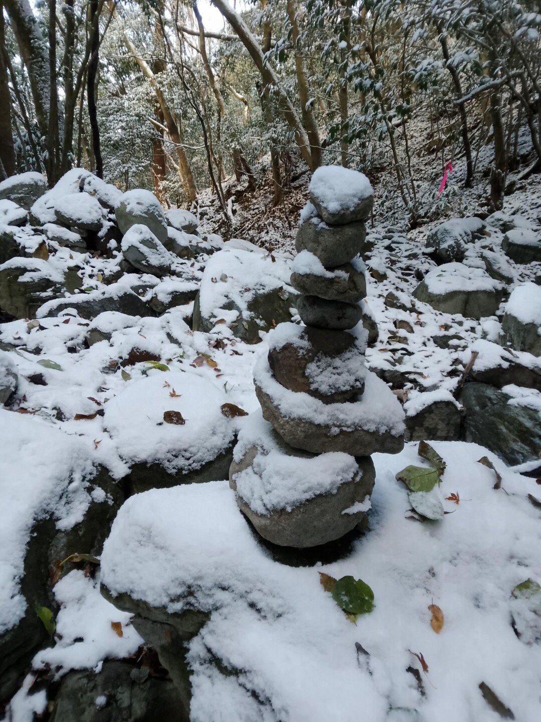 八方が岳、寒波到来で山上は雪。今年初めて... / みやさんのモーメント | YAMAP / ヤマップ