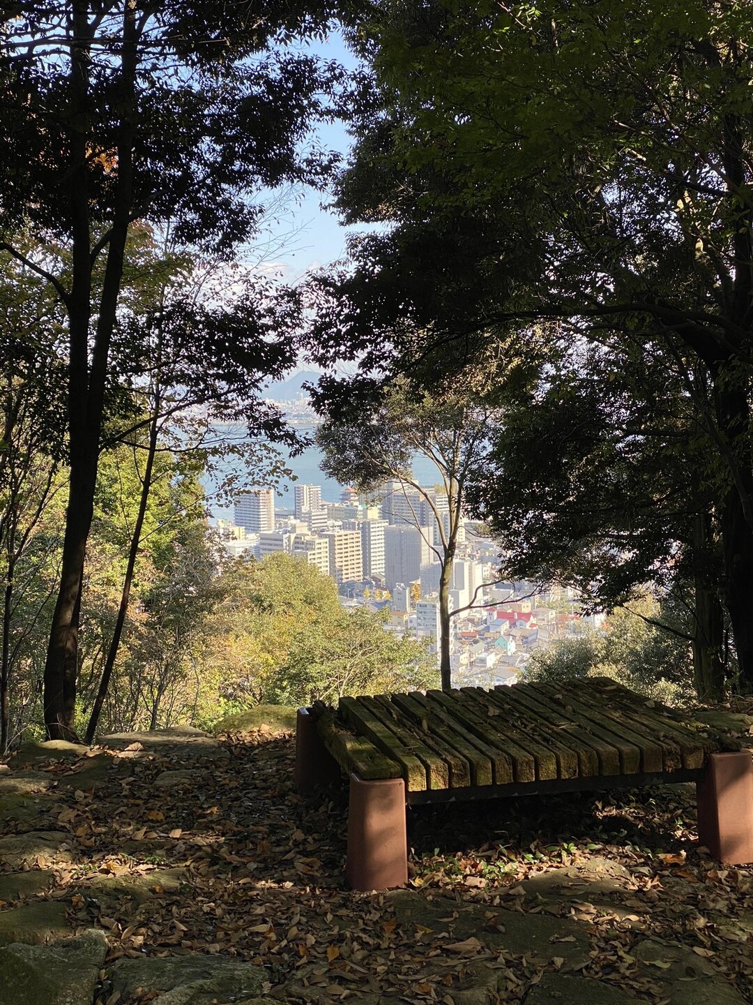 JUN’YAさんの投稿したフィールドメモ | YAMAP / ヤマップ