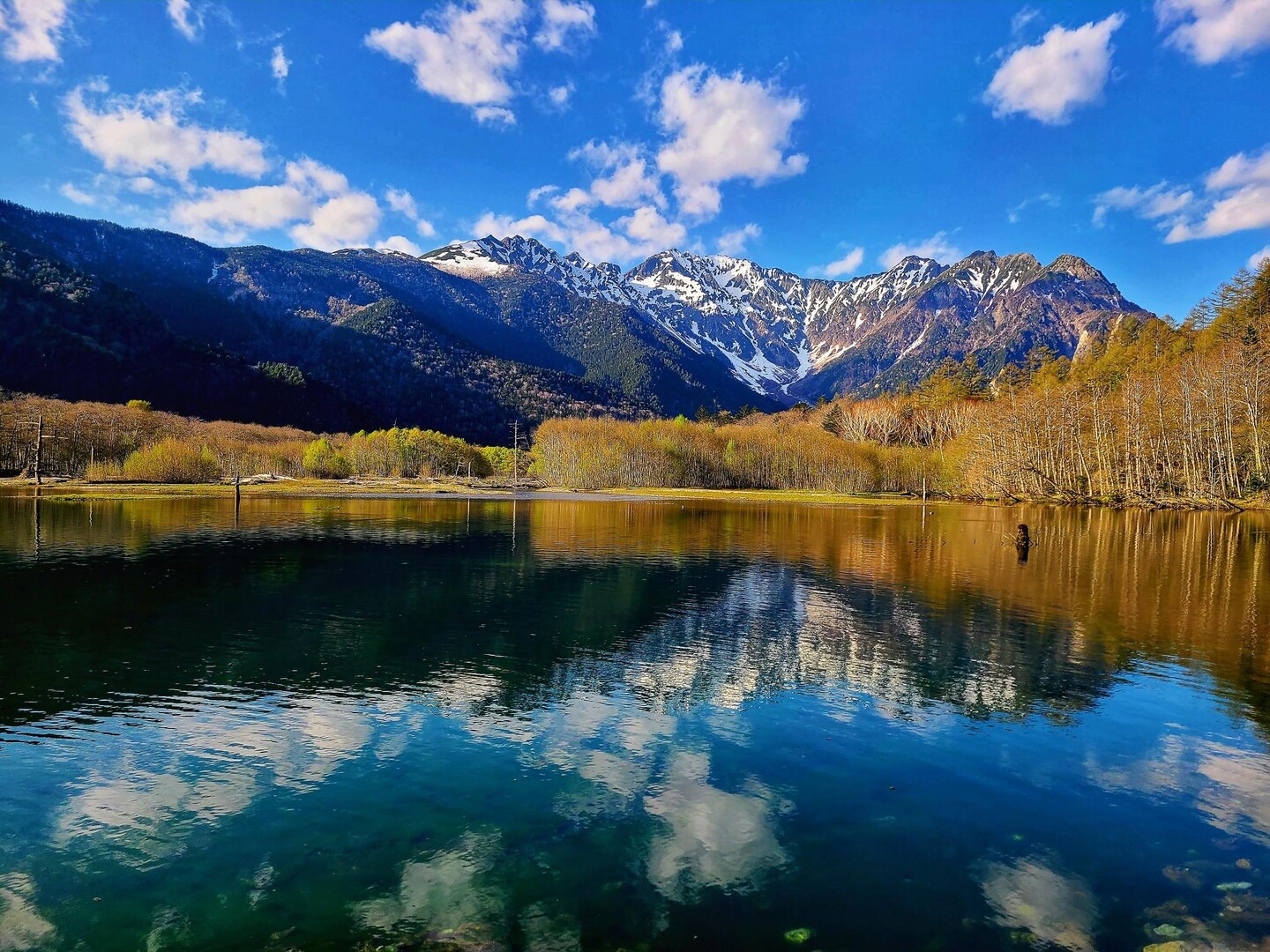 2024.05 大好きな上高地♡Part... / miaさんのモーメント | YAMAP / ヤマップ