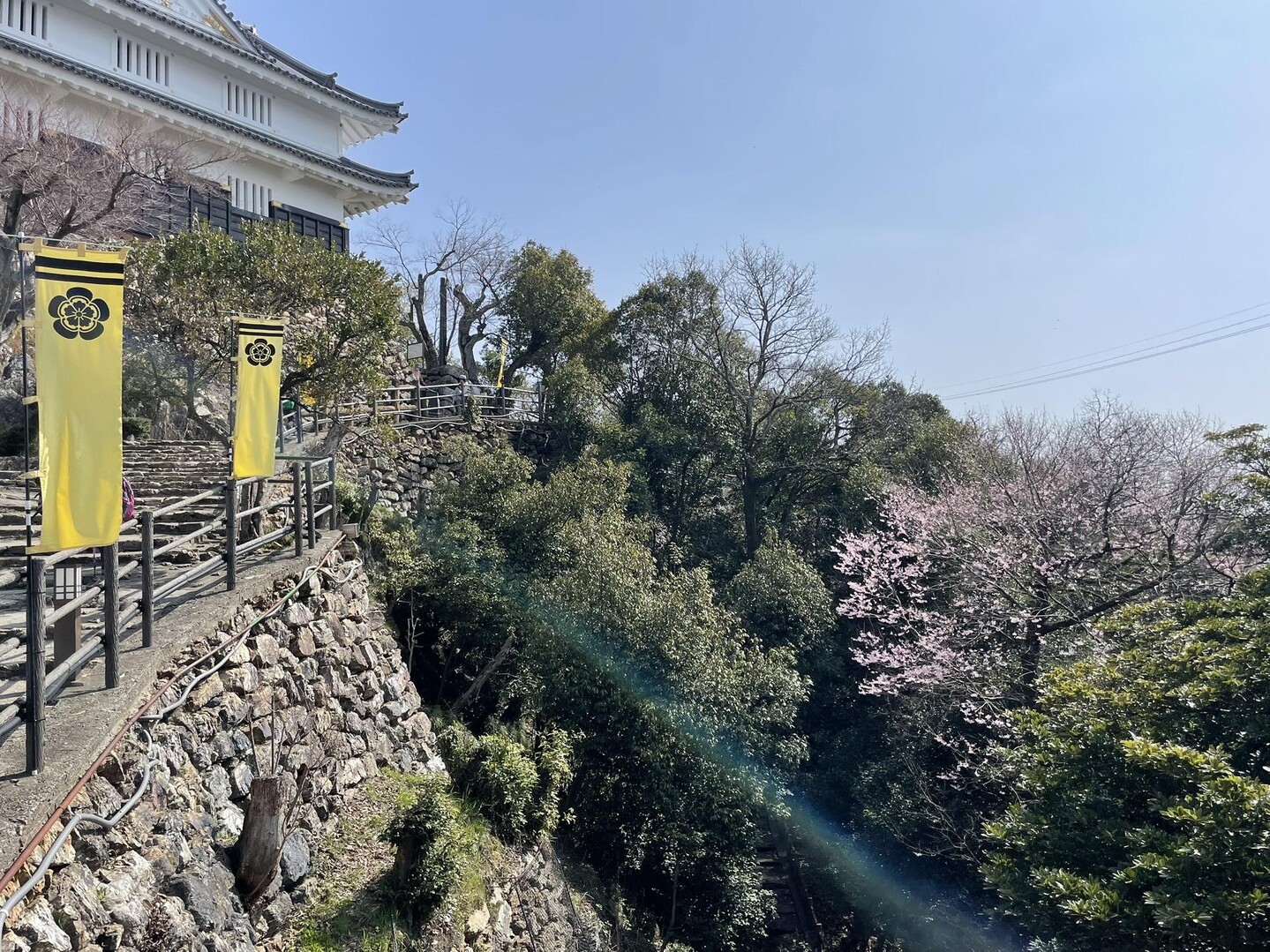 金華山トレッキング 馬の背~百曲り / tackさんの金華山・洞山・舟伏山の活動データ | YAMAP / ヤマップ