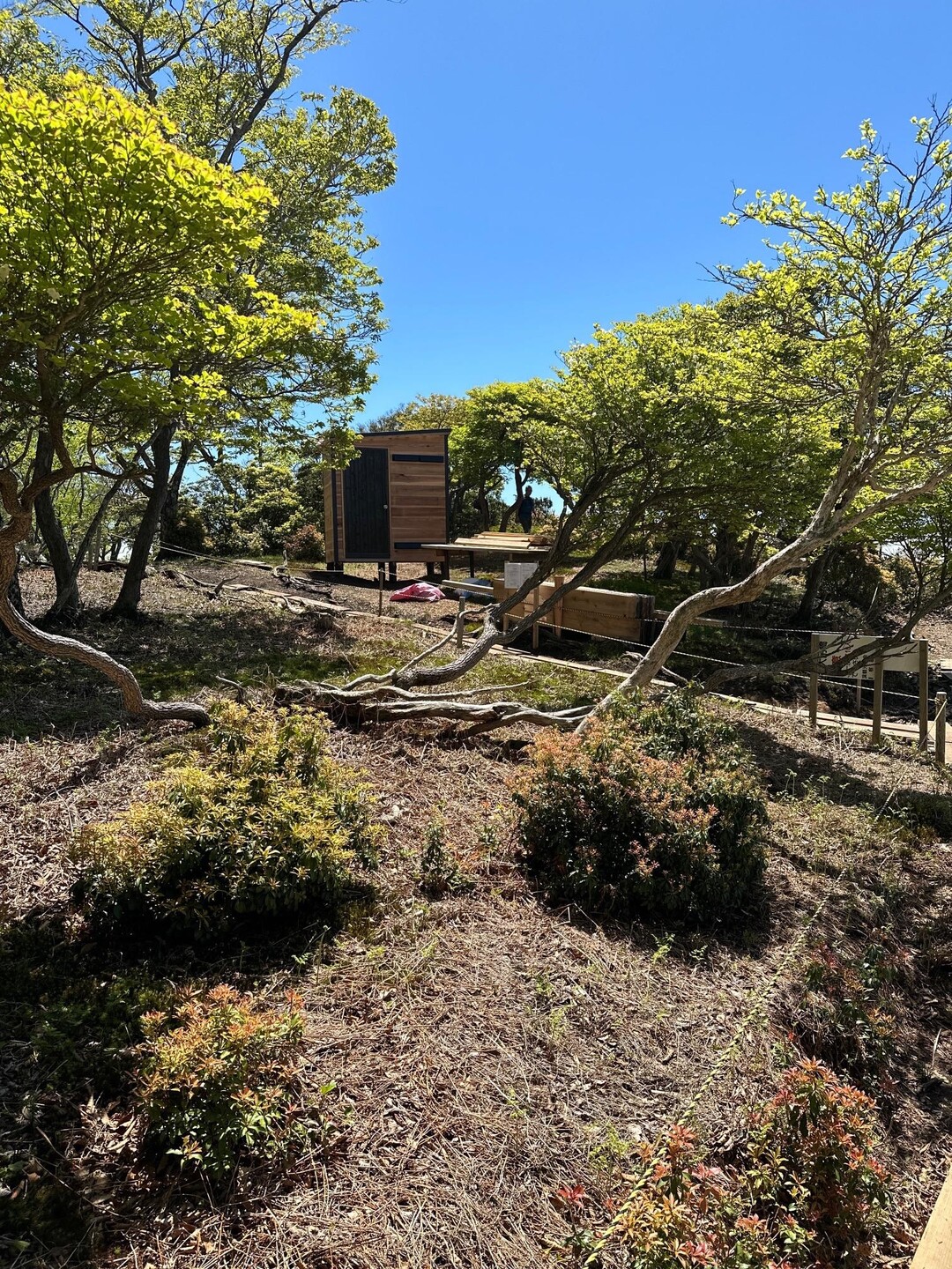 worryさんの投稿したフィールドメモ | YAMAP / ヤマップ