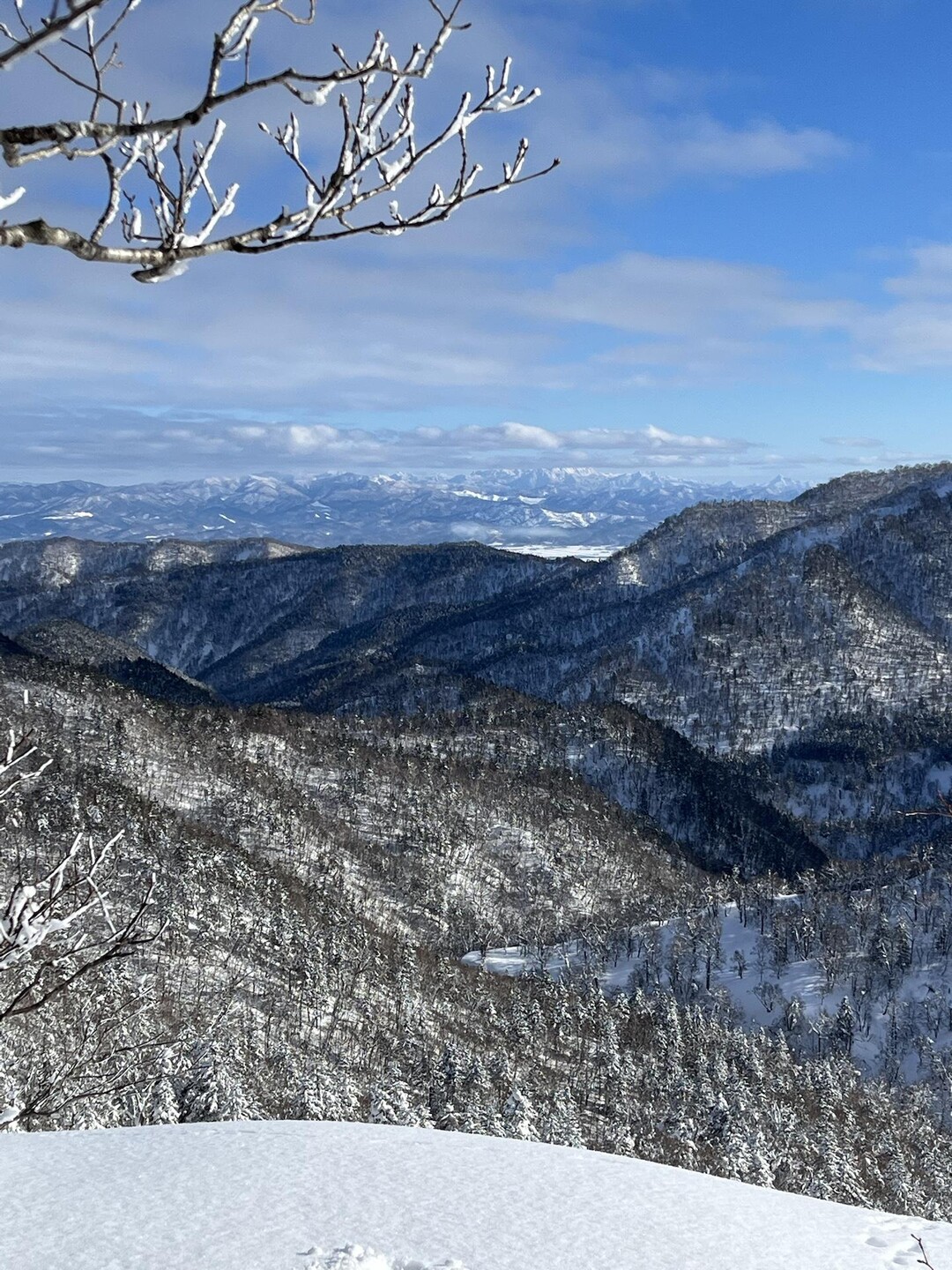 壮志岳 / kumiさんの神居尻山・ピンネシリの活動データ | YAMAP / ヤマップ