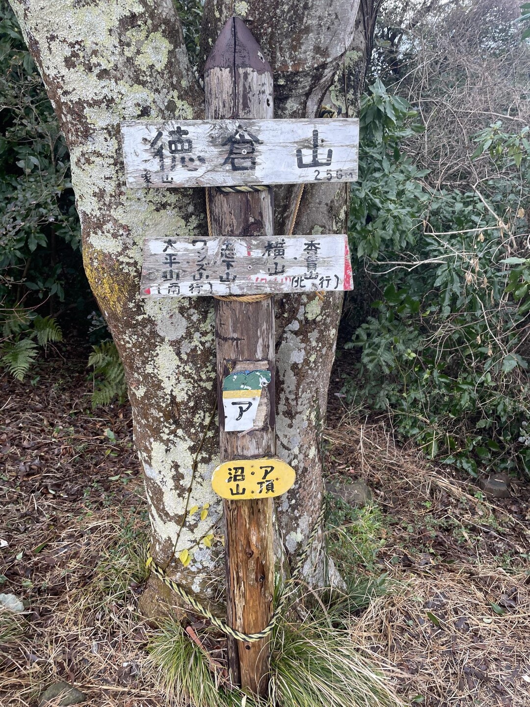 香貫山・横山・徳倉山 / La Rayaさんの沼津アルプス・鷲頭山・香貫山の活動日記 | YAMAP / ヤマップ