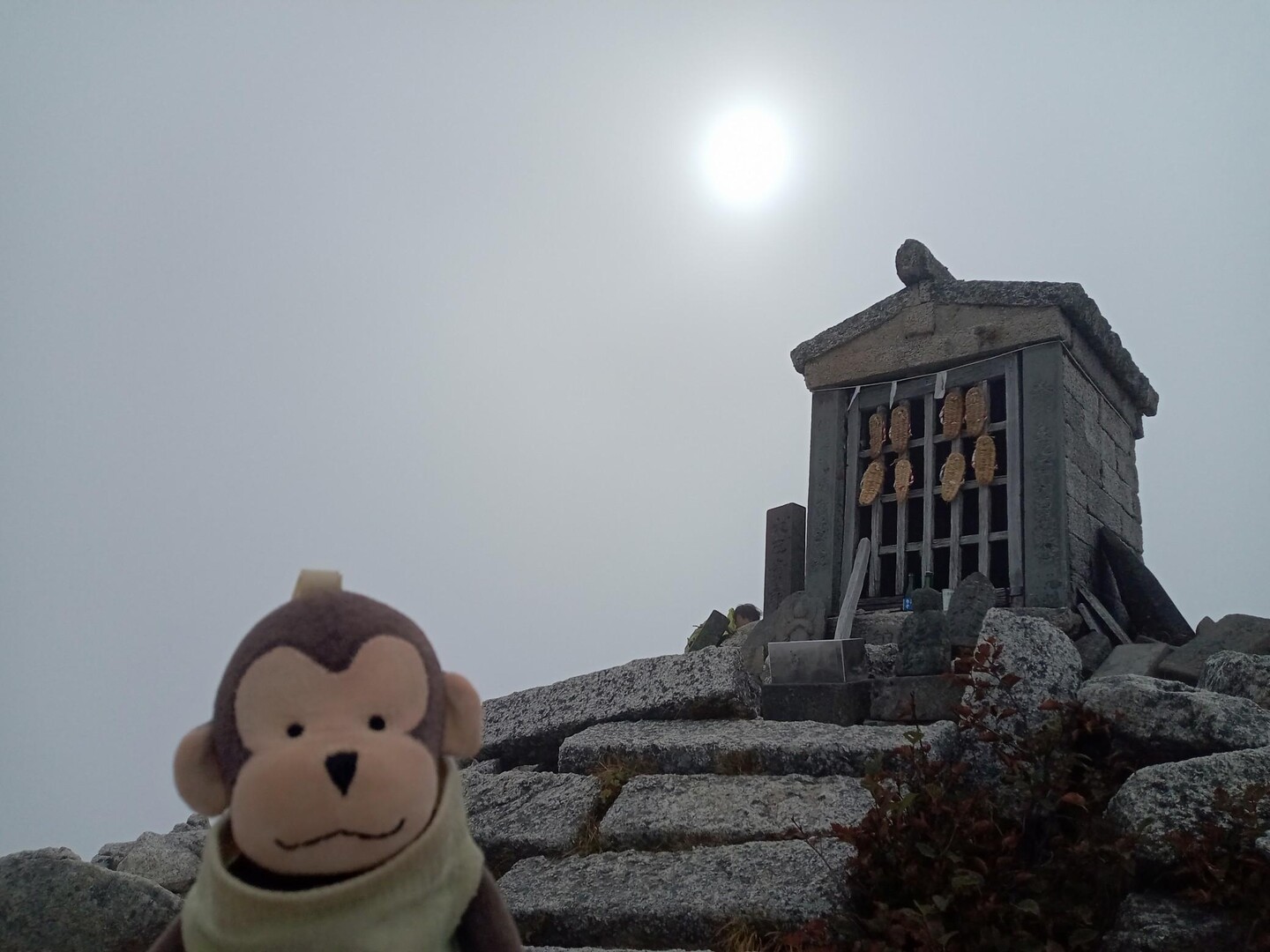 YAMAP100回記念🐵 激闘！黒戸尾根ピストン（甲斐駒ヶ岳） / monkichi_1さんの甲斐駒ヶ岳・日向山の活動日記 | YAMAP / ヤマップ