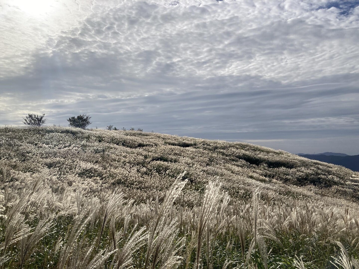生石ヶ峰 / mt.take4さんの生石ヶ峰・生石高原の活動データ | YAMAP / ヤマップ