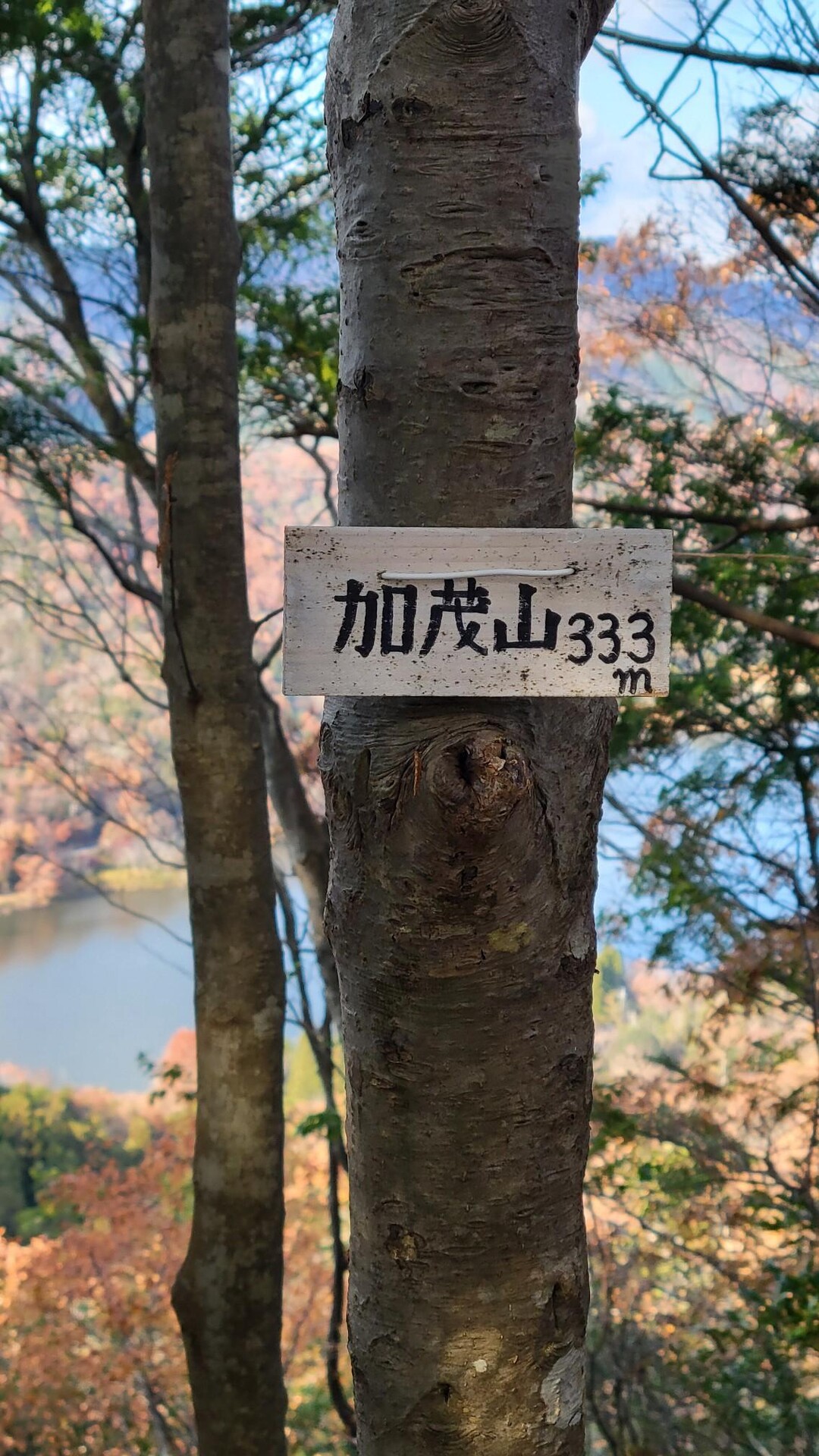 加茂山 / hisashiさんの有馬富士の活動データ | YAMAP / ヤマップ