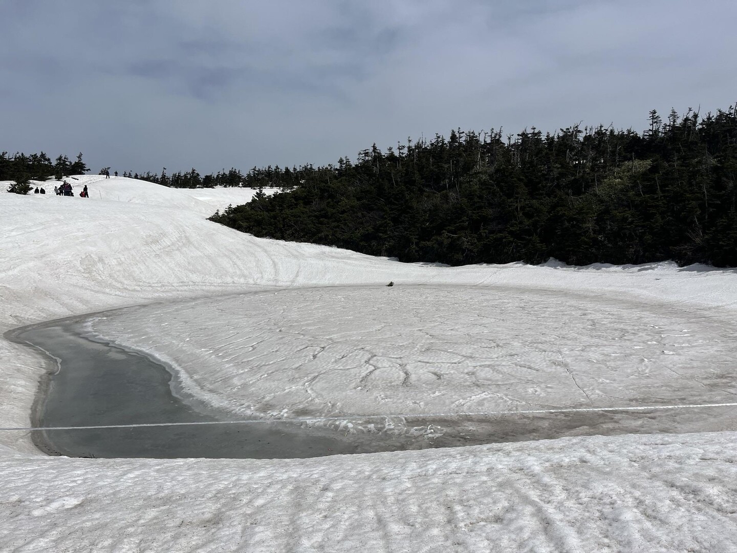 R5.5.4 #八幡平 快晴☀️ #ドラ... / かつすけさんのモーメント | YAMAP / ヤマップ