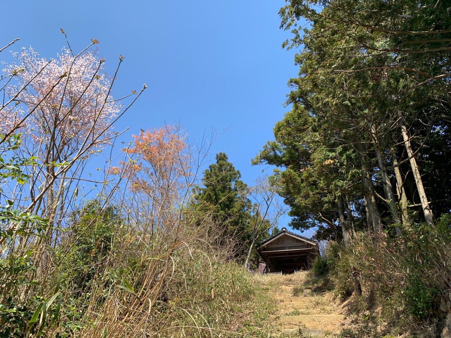 大渋山・城山・秋葉山 / uzuさんの大船山・鍋池山の活動データ | YAMAP / ヤマップ