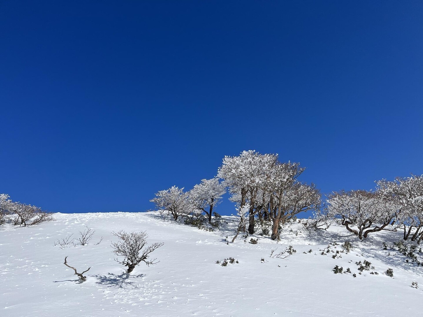 竜ヶ岳. 2024-1-20 (月) / Yu-min.Kさんの竜ヶ岳の活動データ | YAMAP / ヤマップ