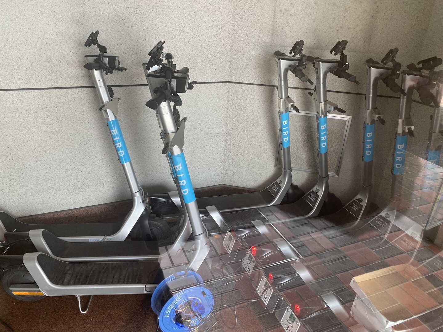 電動キックボードに乗ってみたかったのです！ / やまちゃんさんのUTMF2018 その4の活動データ | YAMAP / ヤマップ