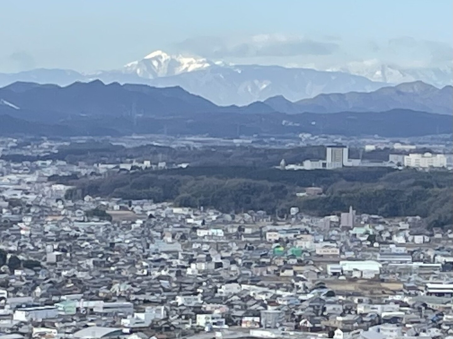 今日は夫の付き添いで米田白山へ 今日は素... / M K1218さんのモーメント | YAMAP / ヤマップ