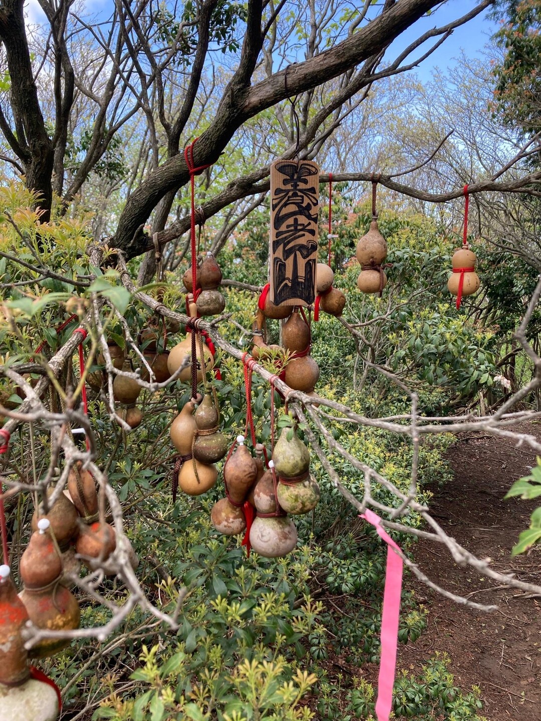 北尾根P826峰・小倉山・養老山・三方山 / としゅりんさんの養老山・笙ヶ岳・三方山の活動データ | YAMAP / ヤマップ