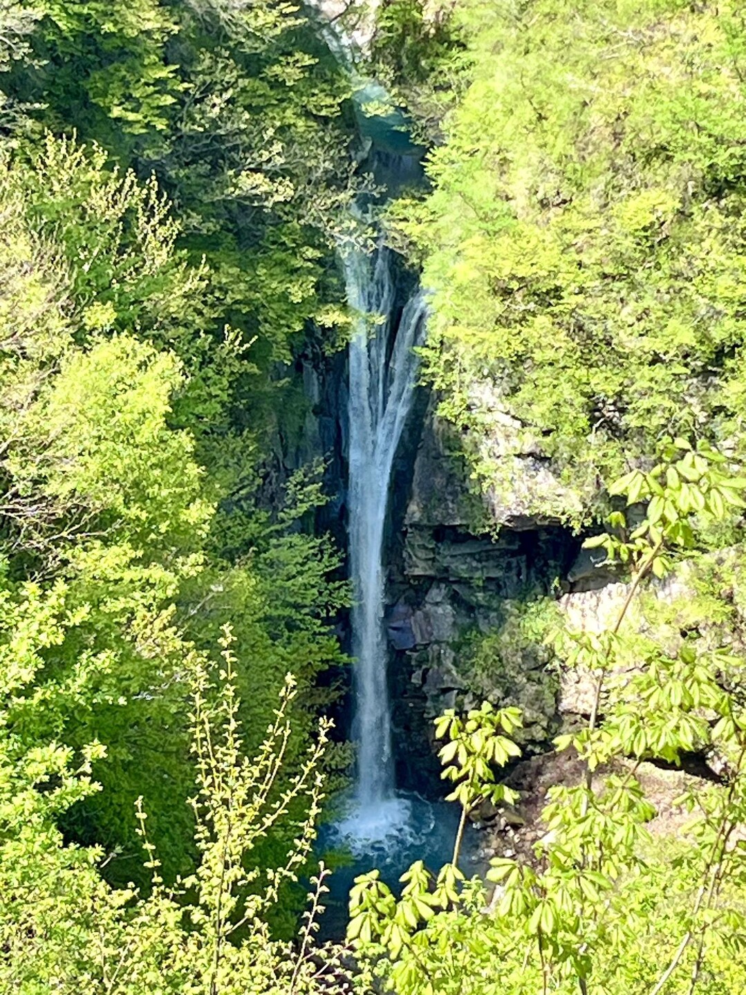那須平成の森-2024-05-10 / SKさんの茶臼岳（那須岳）・三本槍岳・赤面山の活動データ | YAMAP / ヤマップ