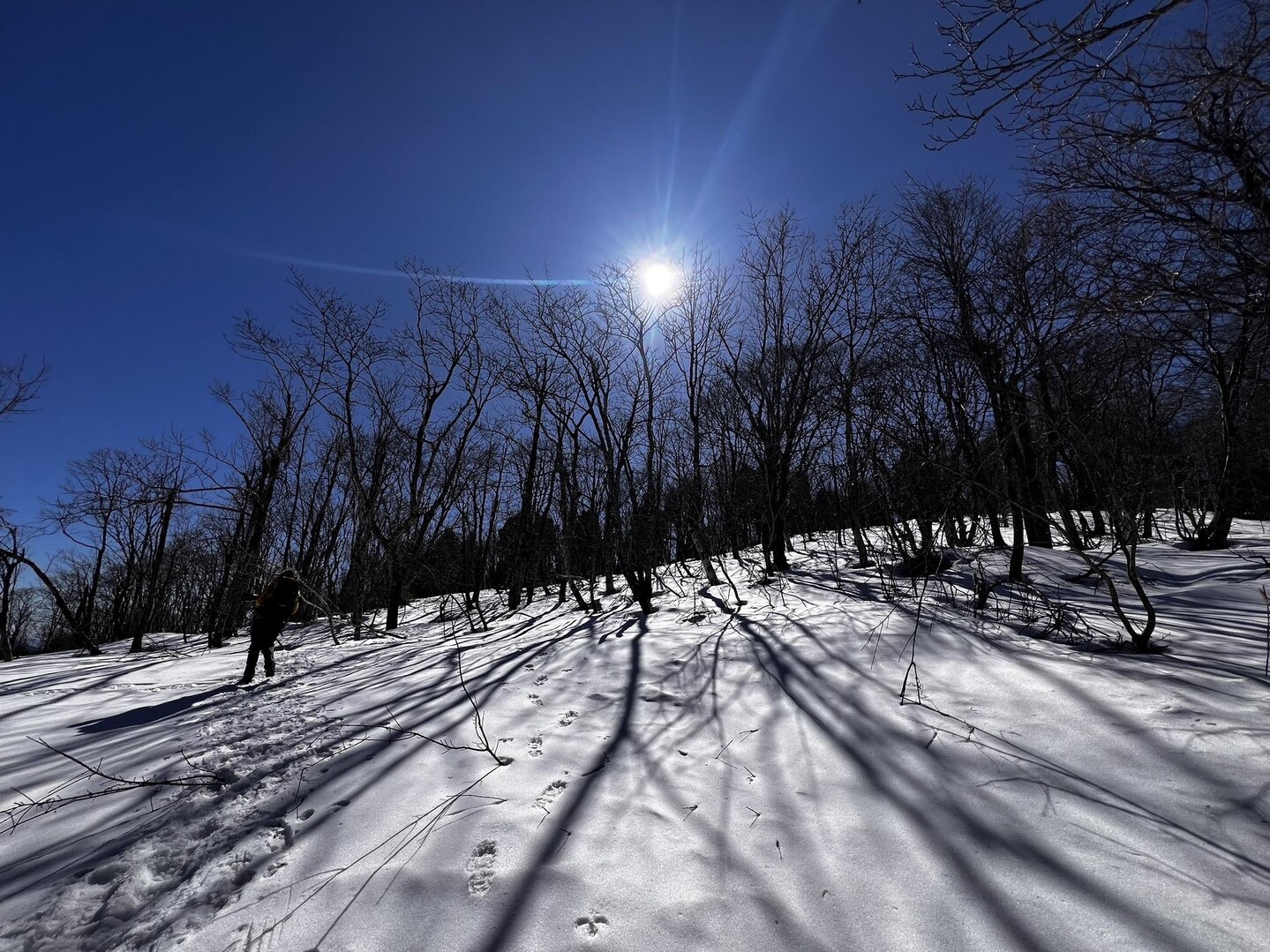恐羅漢山 貸切状態(^^) / PEZ（ペッツ）さんの恐羅漢山の活動データ | YAMAP / ヤマップ