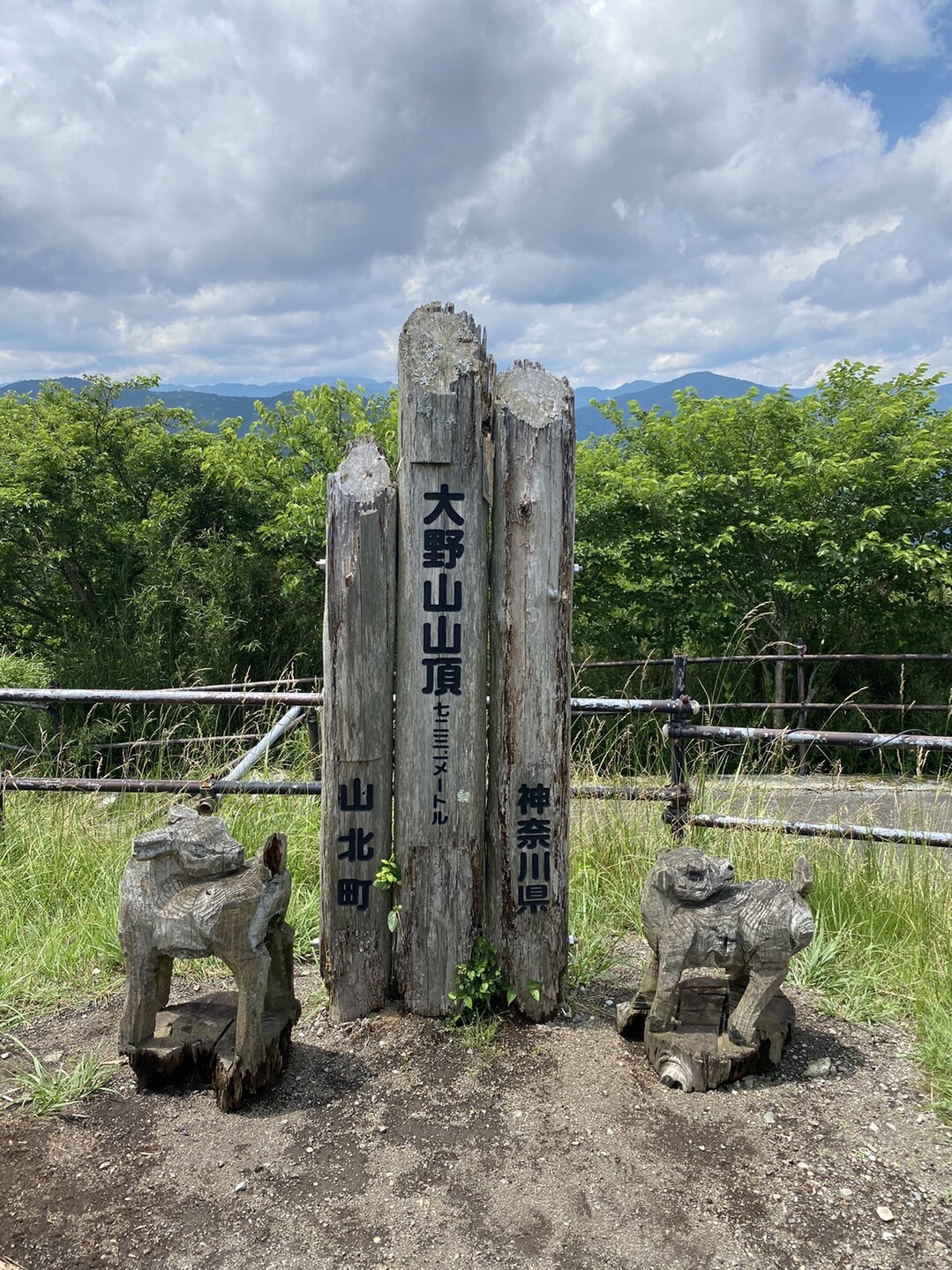 大野山 / Pelliotさんの高松山・大野山の活動データ | YAMAP / ヤマップ