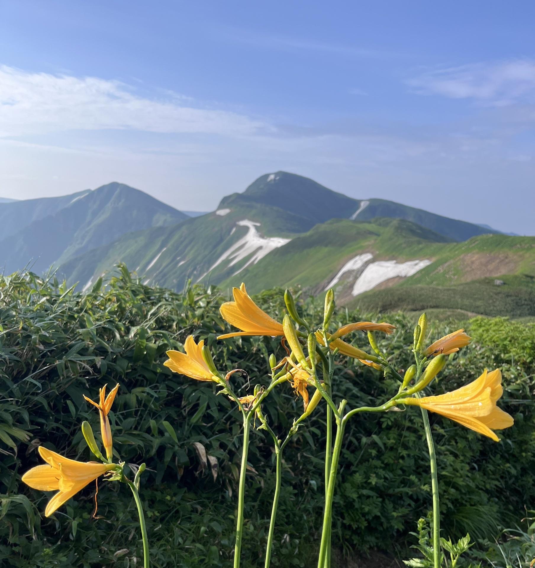 ↑丸森尾根〜朳差岳〜北股岳〜↓梶川尾根で飯豊山域デビュー / mierinさんの朳差岳・鉾立峰・大石山の活動データ | YAMAP / ヤマップ