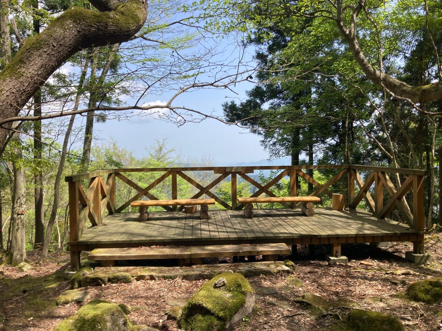 美杉の森林セラピー👟 / kaz330さんの大洞山・尼ヶ岳の活動データ | YAMAP / ヤマップ