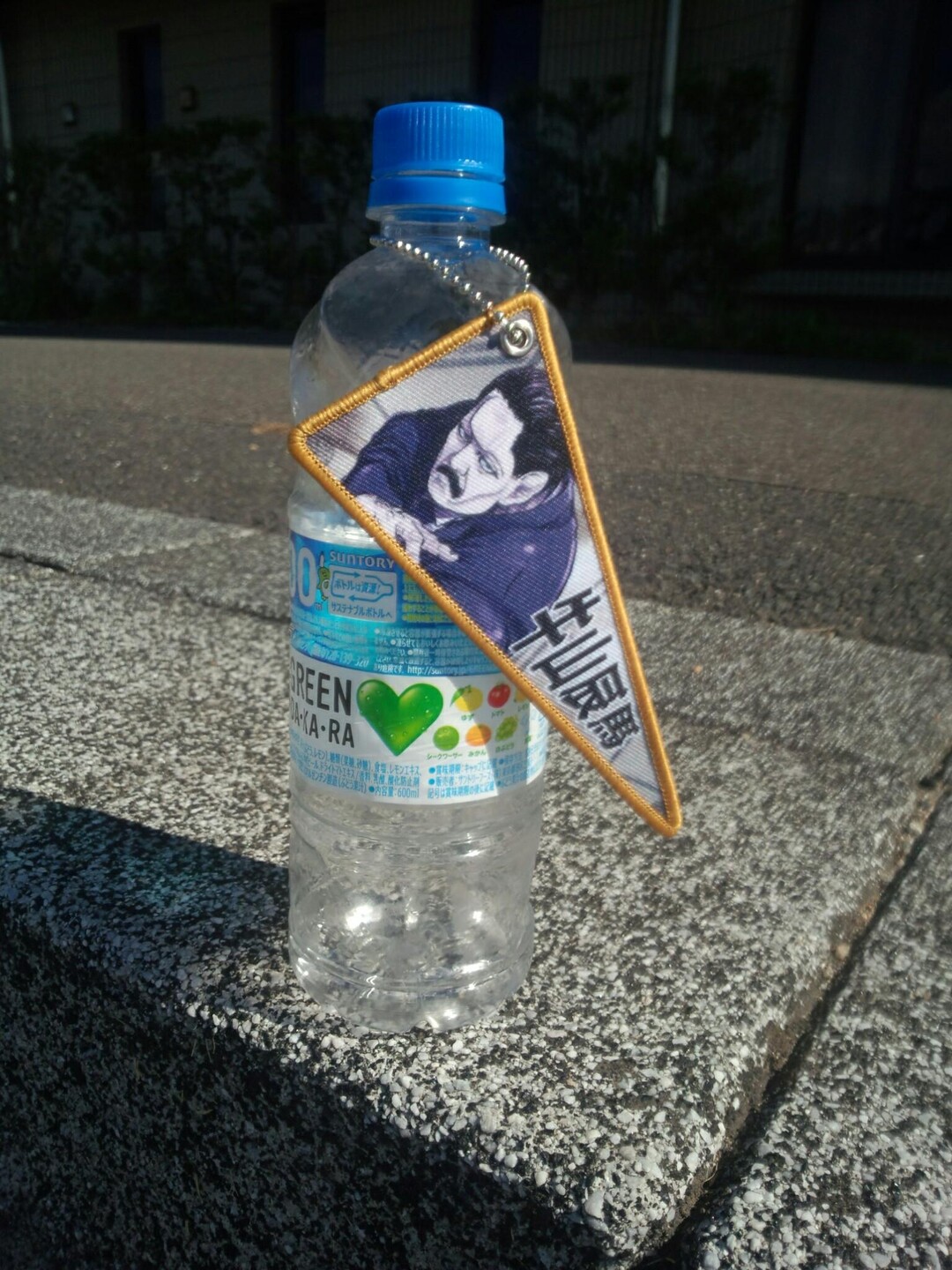 24.4㎞ キロ6分のペース走なら楽勝だ... / コケムスさんのモーメント | YAMAP / ヤマップ